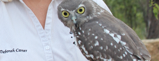 GiveNow - Flight to the Future