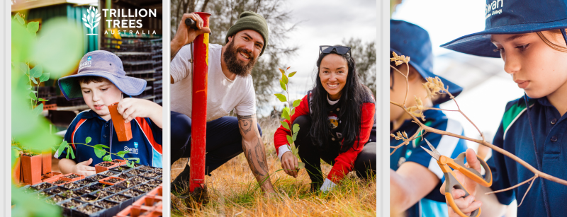 GiveNow - Trillion Trees Australia