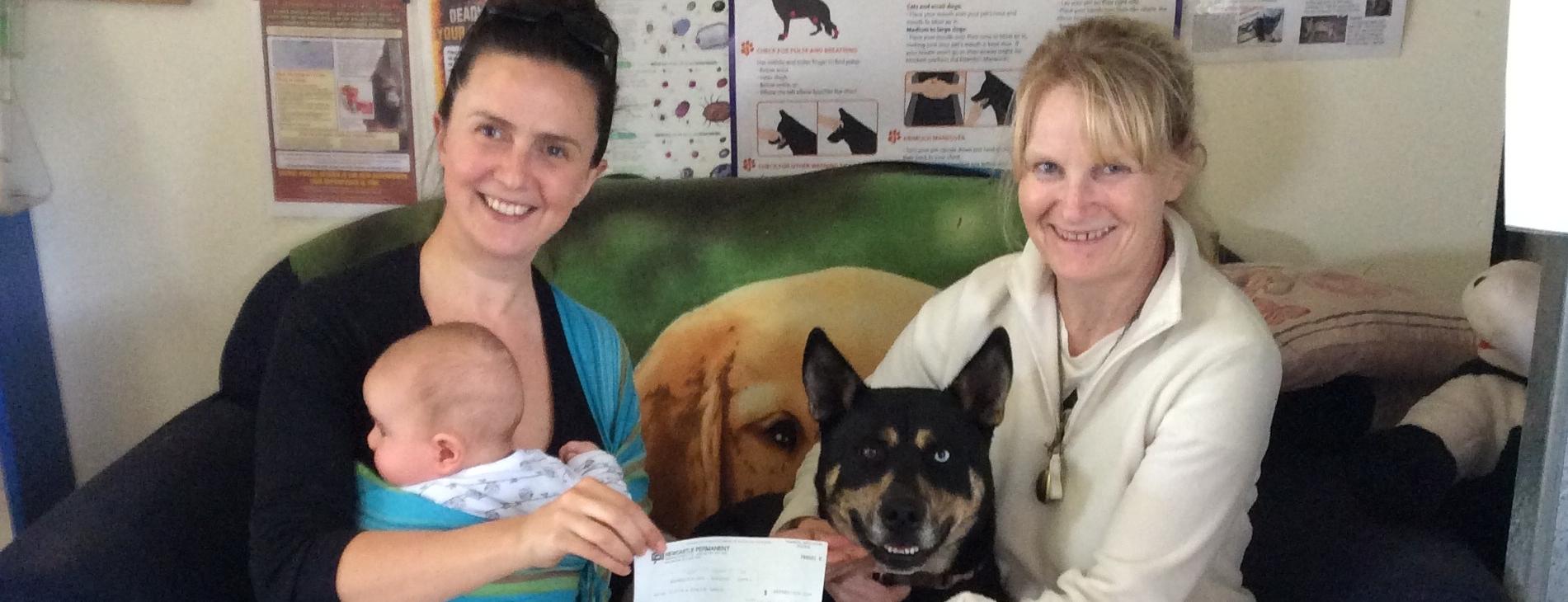 GiveNow - Friends of Lucy's Project