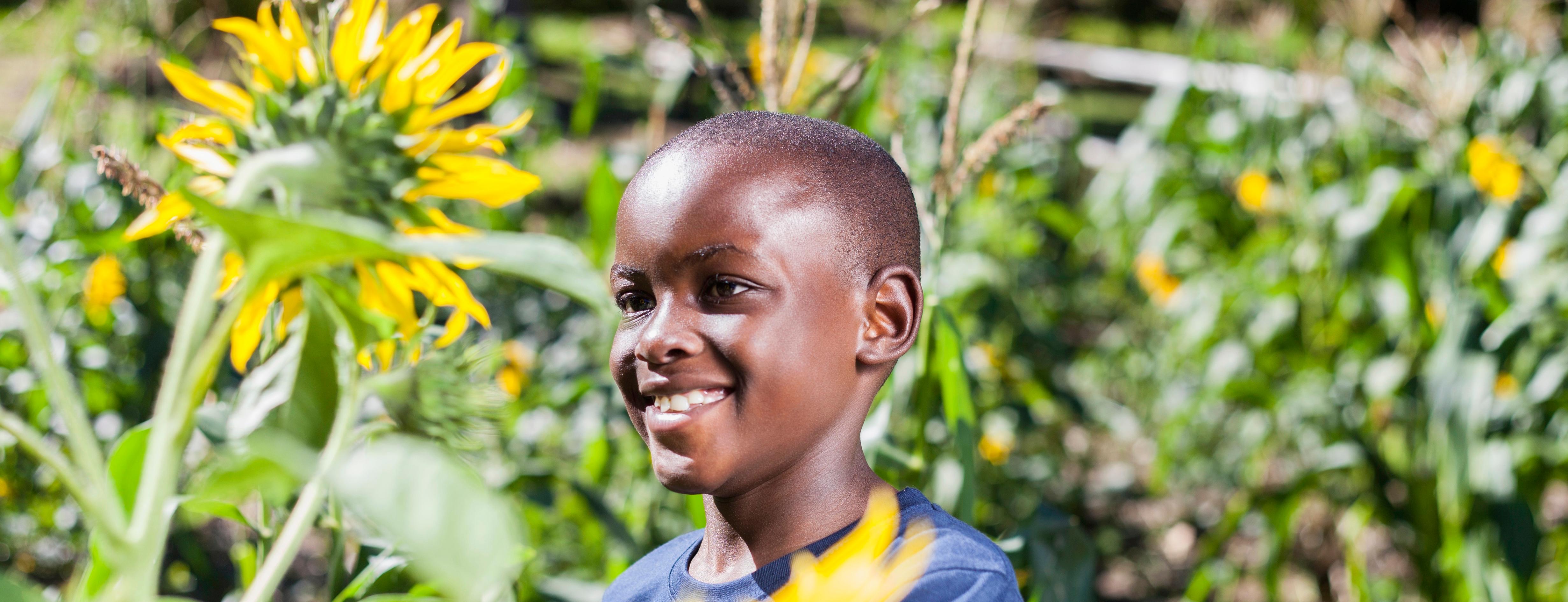 GiveNow - The Sunflower Foundation (Australia) Inc.