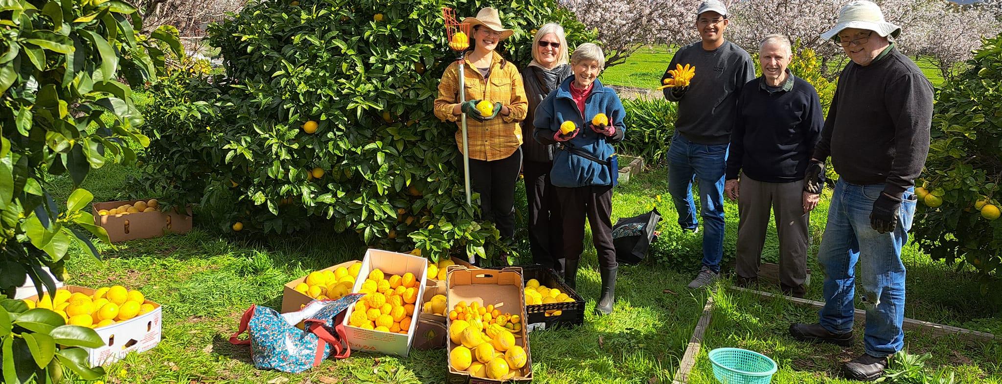GiveNow - Fruit Share Adelaide