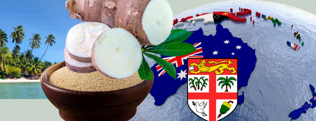 GiveNow - Cassava Flour For Fiji - A BAM Project Changing Lives