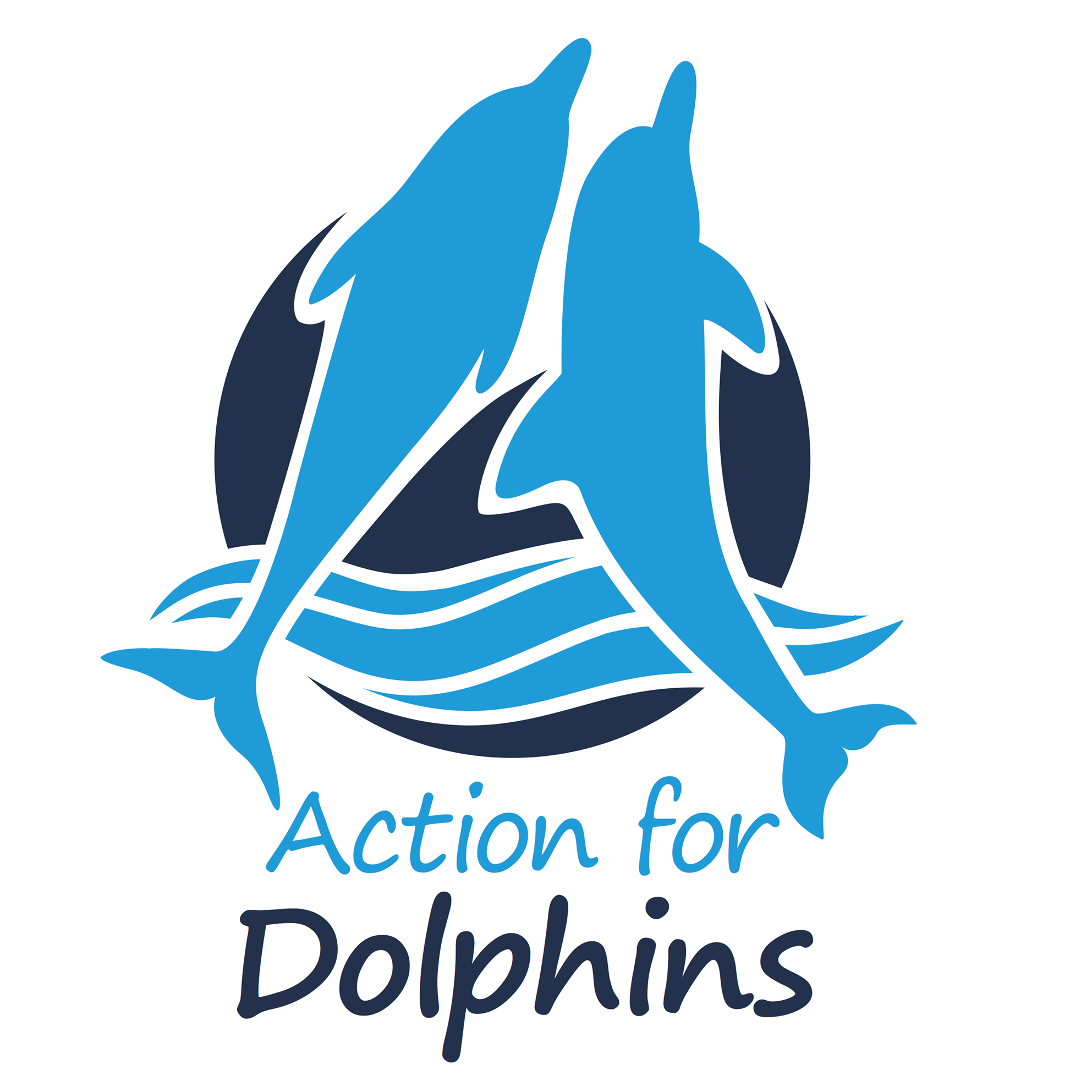 GiveNow - Action for Dolphins